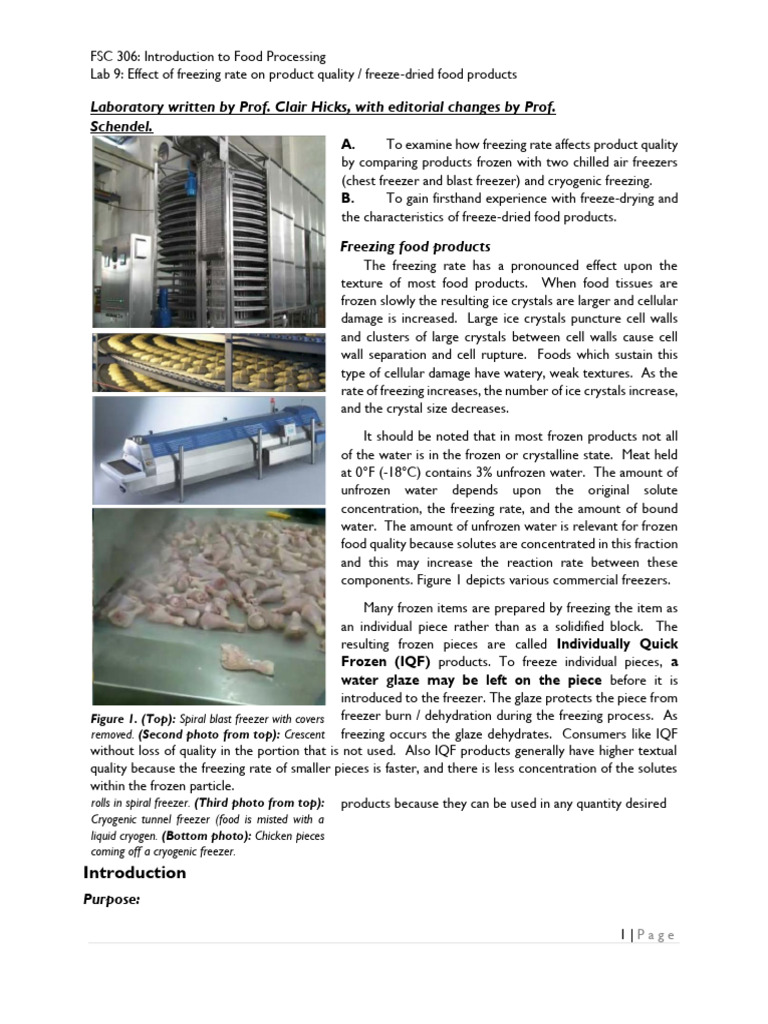 Lab+9+Fall+2024 Freezing+and+Freeze-drying | PDF | Industrial Processes | Engineering Thermodynamics