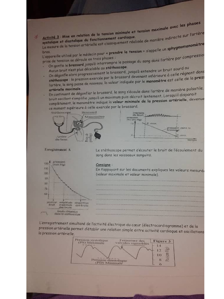 PDFReader 20250114 2130 | PDF