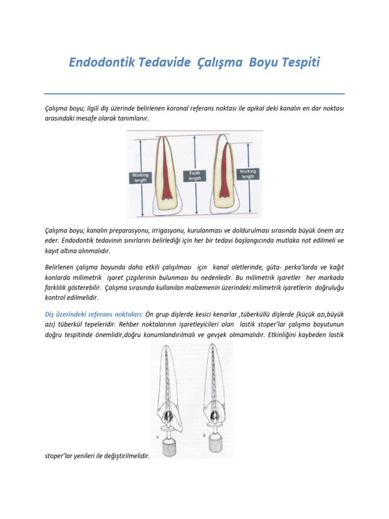 Ã Alä Å Ma Boyu Tespiti | PDF