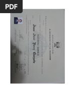 SSPC Guide 15 2020 | PDF