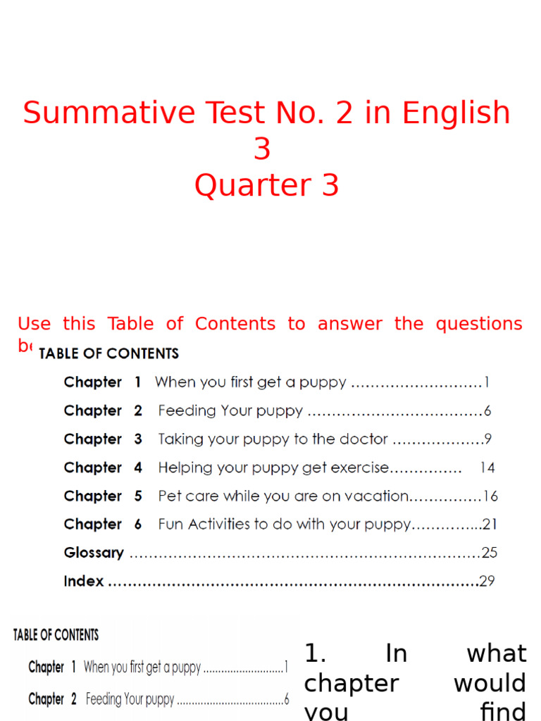English Summative Test No. 2 q3 | PDF | Dogs | Elephant