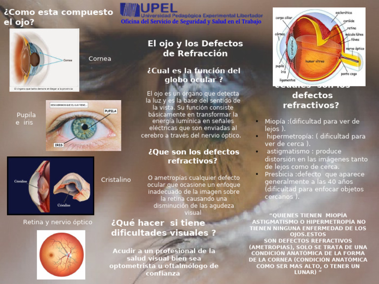 El-ojo-y-los-Defectos-de-Refraccion | PDF | Ojo humano | Percepción visual