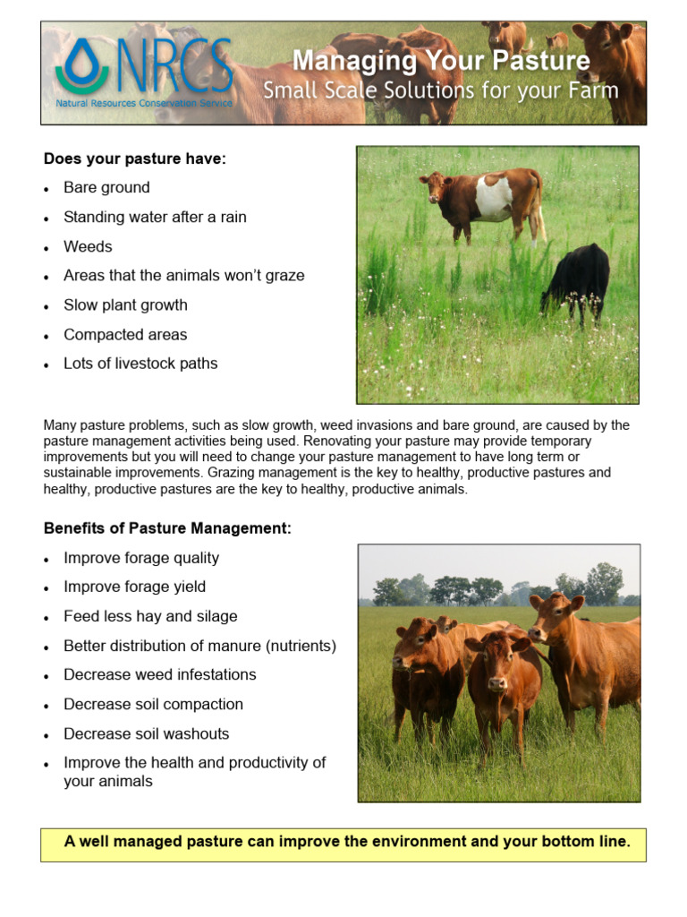 Managing Your Pasture - Small Scale Solutions For Your Farm | PDF | Grazing | Natural Resources ...