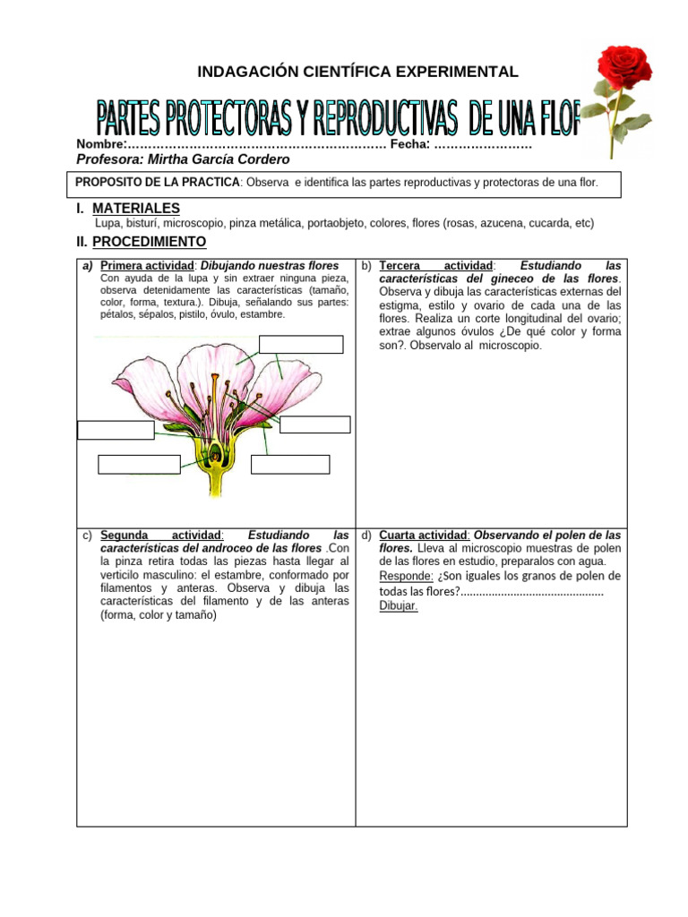 Indagación Científica: Estudio de Flores | PDF