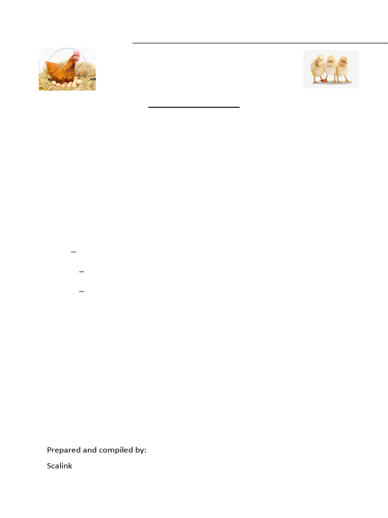 Broiler Feeding Program - 240501 - 172930 | PDF