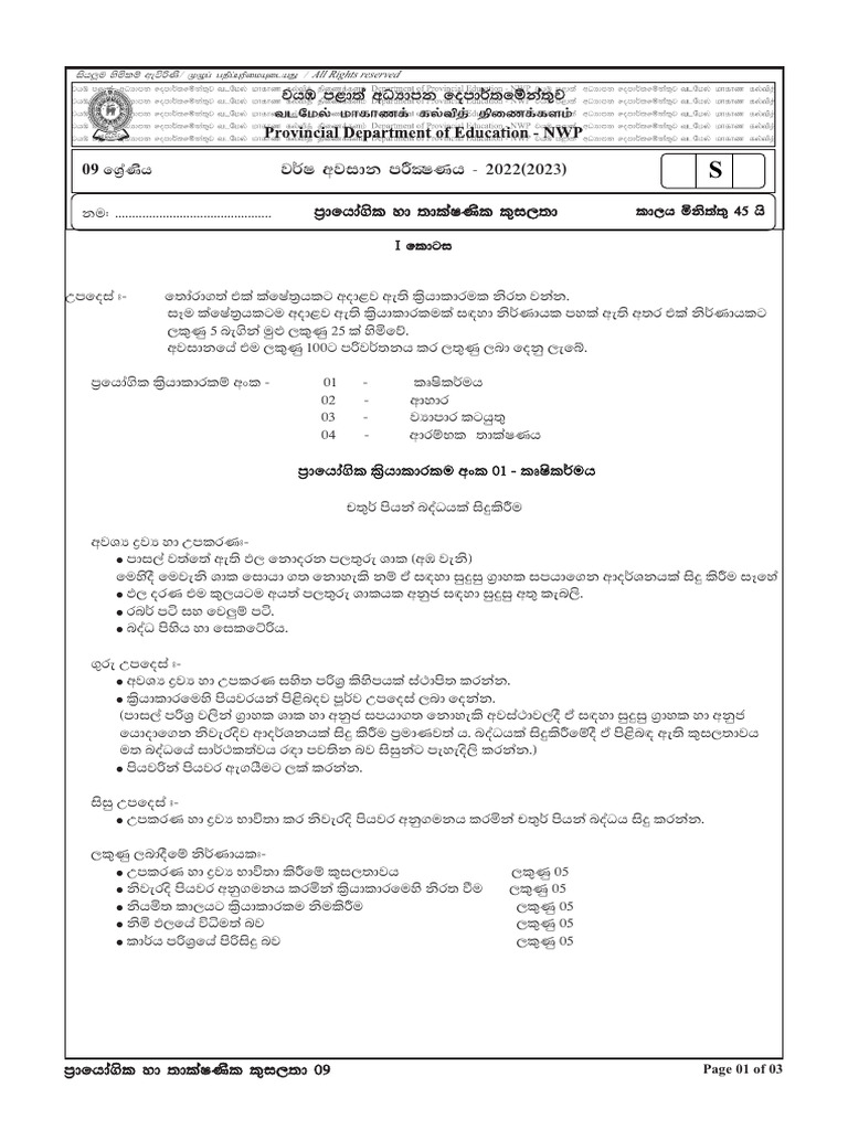 Grade 9 PTS Past Papers 2022 | PDF