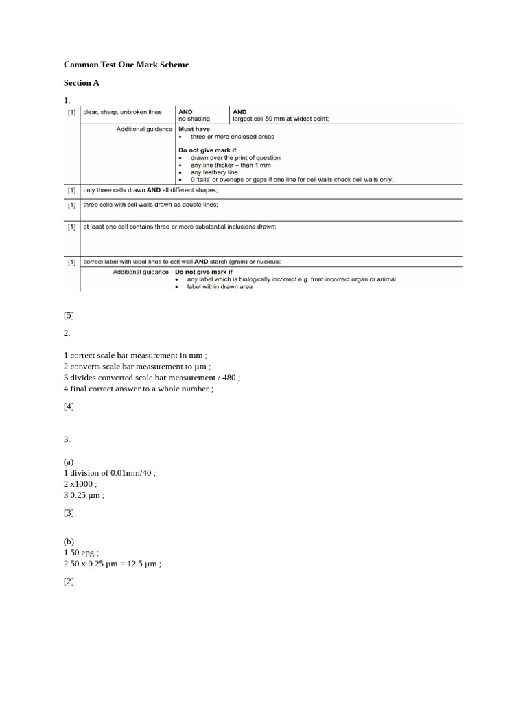 Common Test One Mark Scheme Guide | PDF