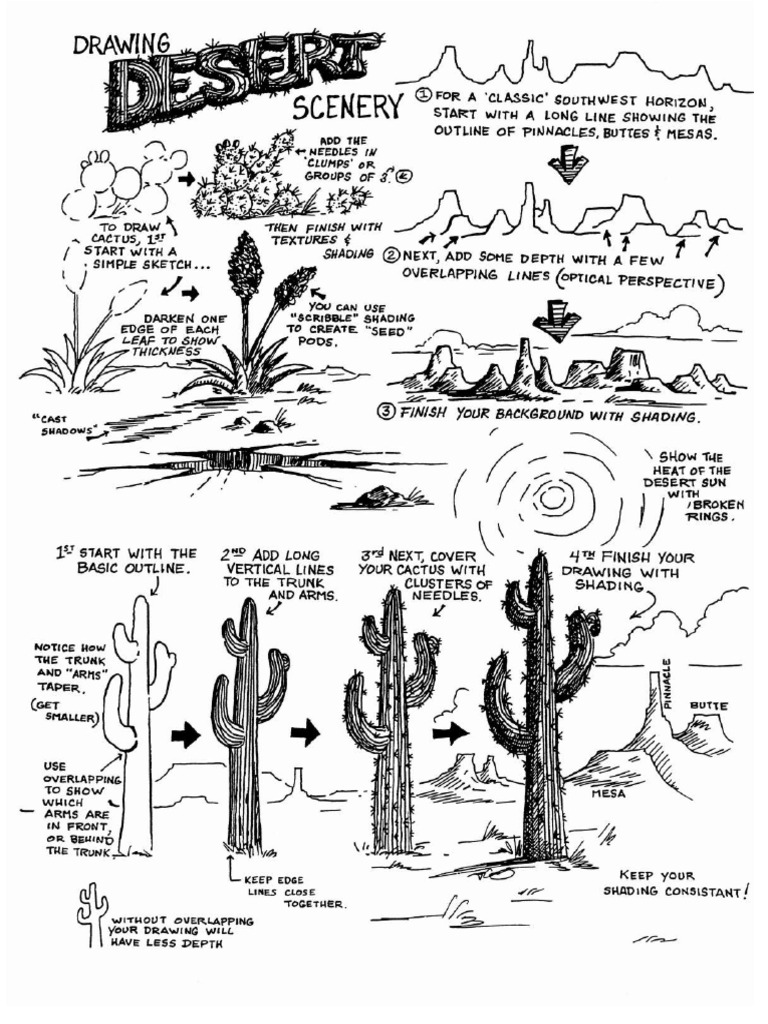 3rd-4th Grade Drawing A Desert | PDF