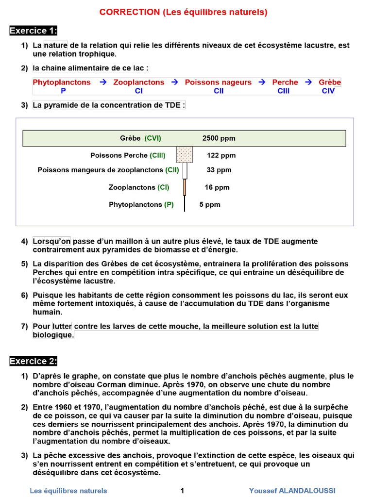 Exercices Unit1 5 Correction | PDF