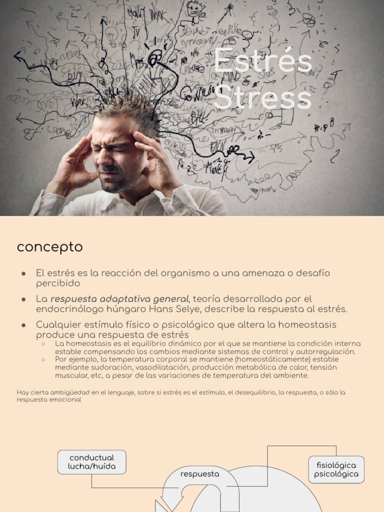 Estr-S Stress | PDF | Estrés (biología) | Hormona adrenocorticotrópica