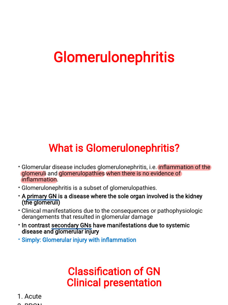 Lecture 11 - Glomerulonephritis | PDF | Kidney | Medical Specialties