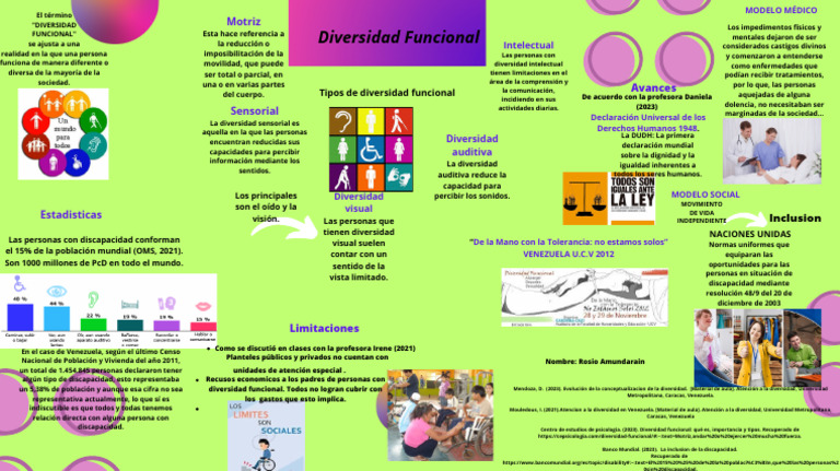 Diversidad Funcional | PDF