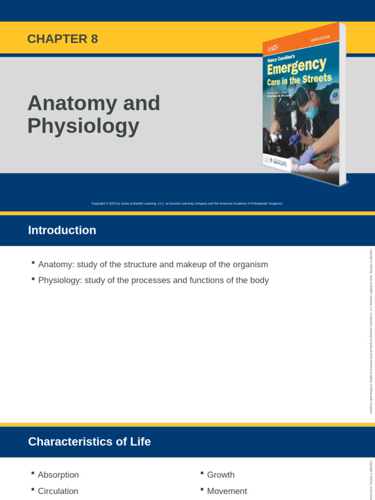 Ch. 8 - Anatomy and Physiology | PDF | Mitosis | Epithelium
