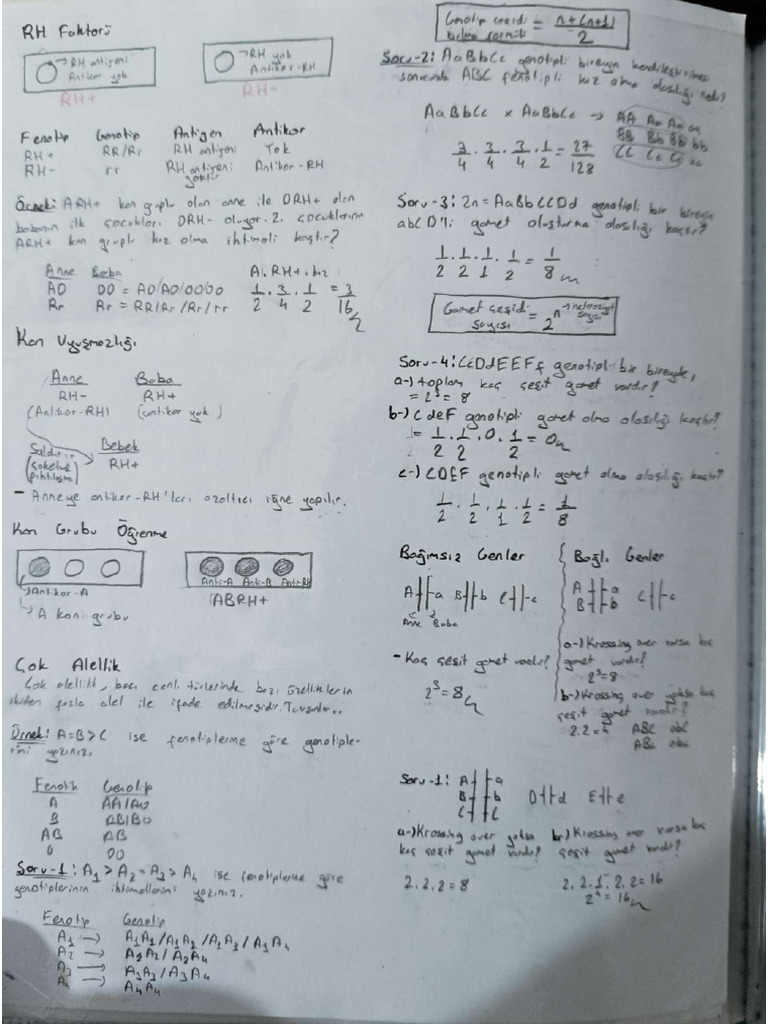 IMG_20250108_074808 | PDF