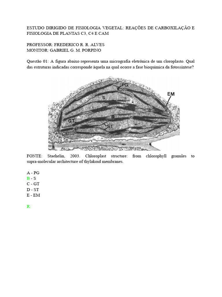 R2 ESTUDO DIRIGIDO DE FISIOLOGIA VEGETAL- REAÇÕES DE CARBOXILAÇÃO E ...