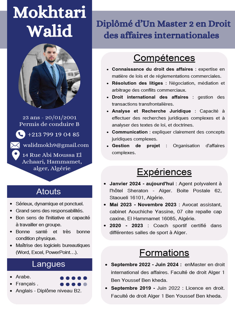 CV Professionnel Walid Mokhtari | PDF