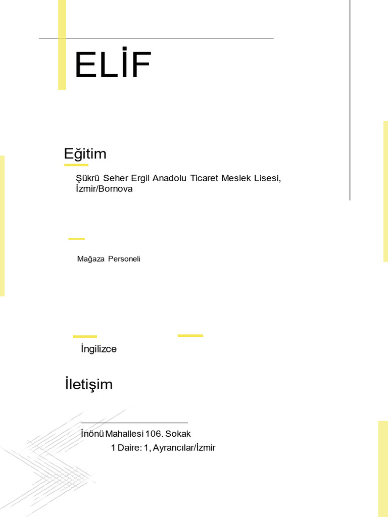 Elif Ulusoy | PDF