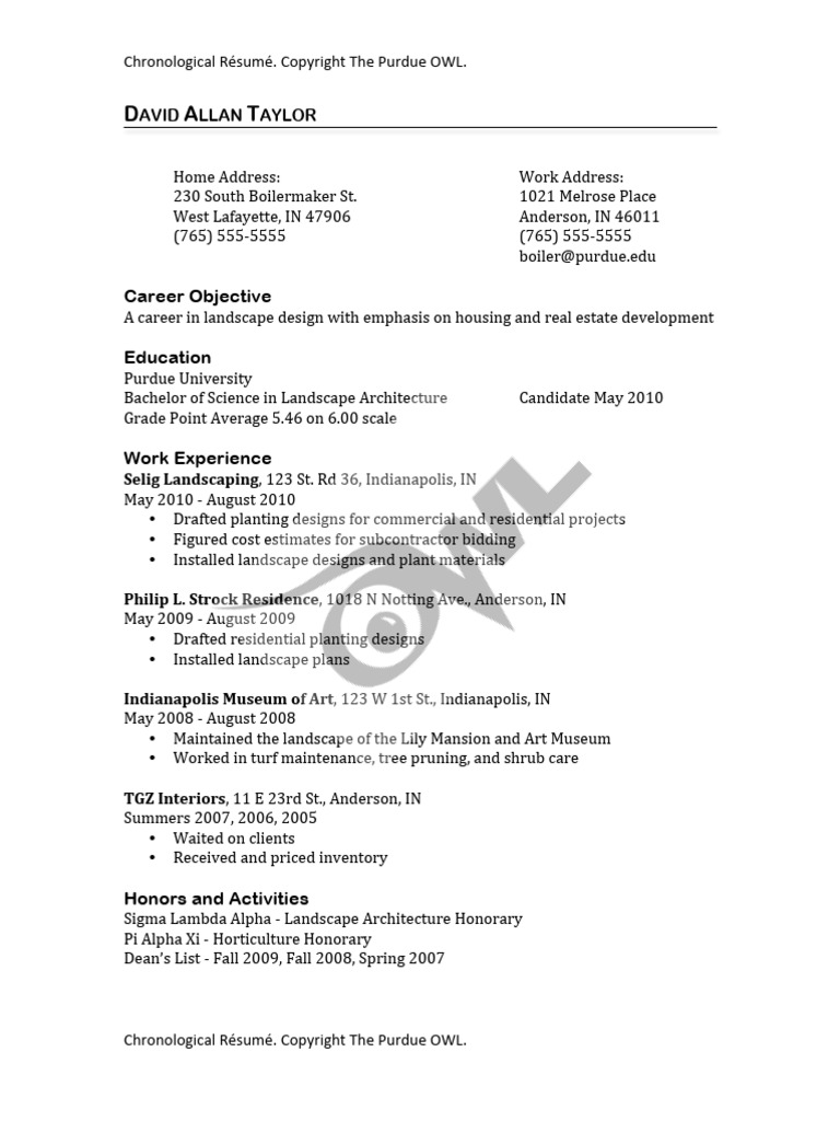 2 Chronological Resume | PDF