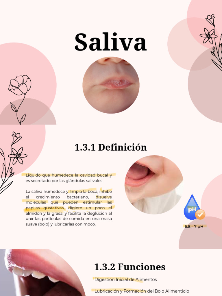Saliva | PDF | Digestión | Saliva
