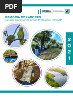 Qué Es El CONAP | PDF