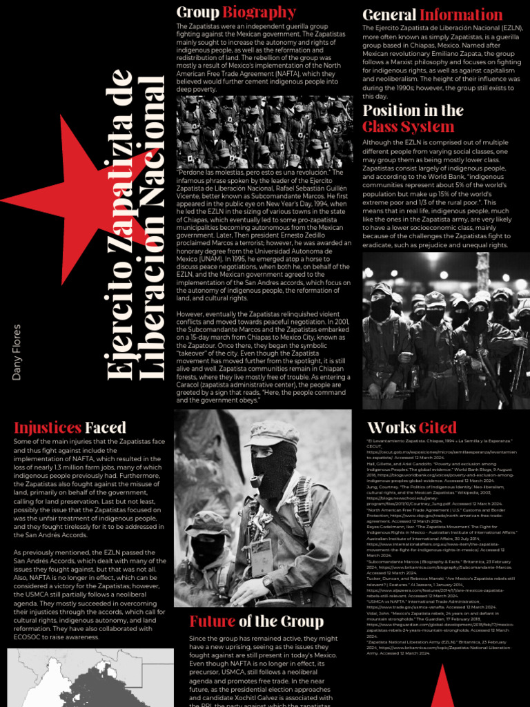 Black And Beige Influencer Modern User Information Brochure Pdf