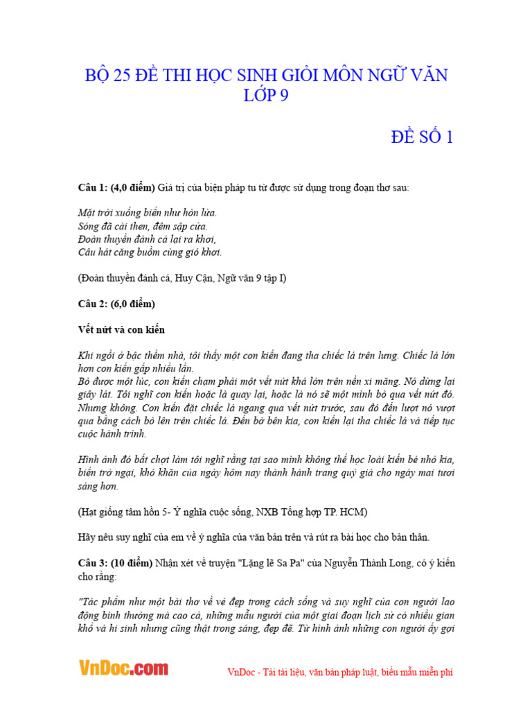 bo-25-de-thi-hsg-mon-ngu-van-lop-9 | PDF
