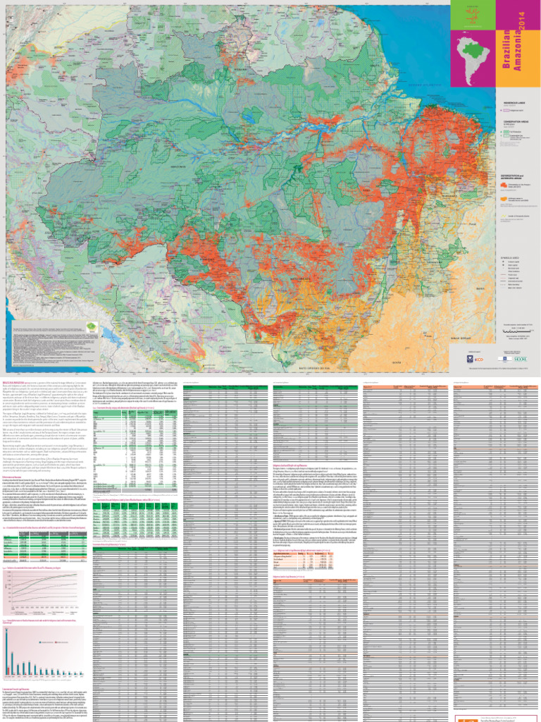 Amazonia Mapa | PDF | Amazon Rainforest | Ecology