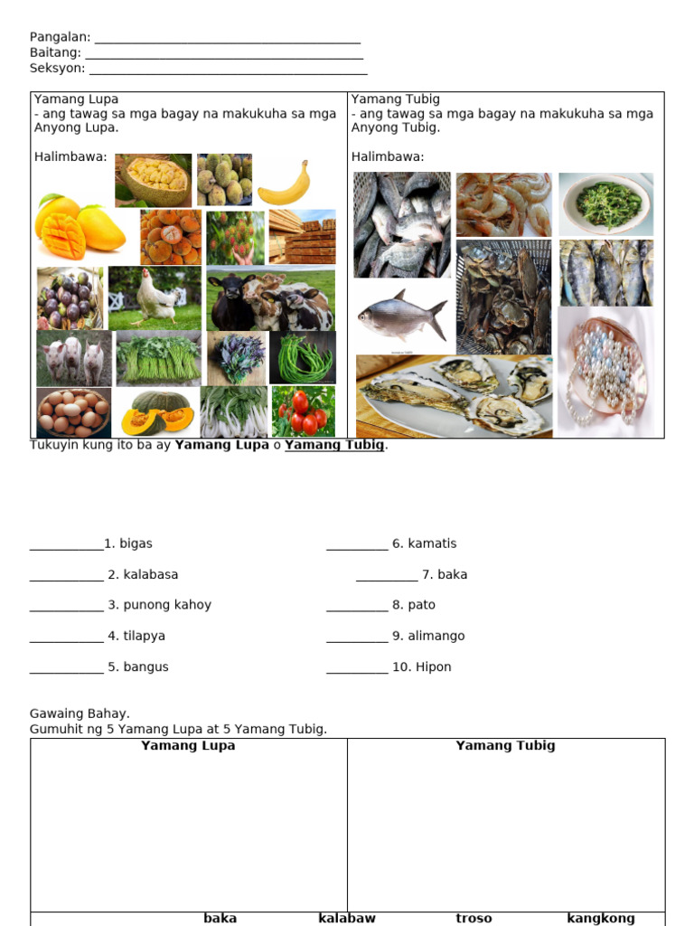 Yamang Lupa at Yamang Tubig | PDF