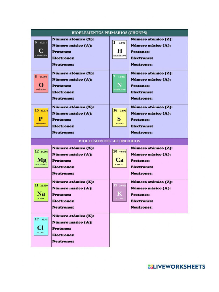 Bioelementos Organicos e Inorganicos-3° | PDF