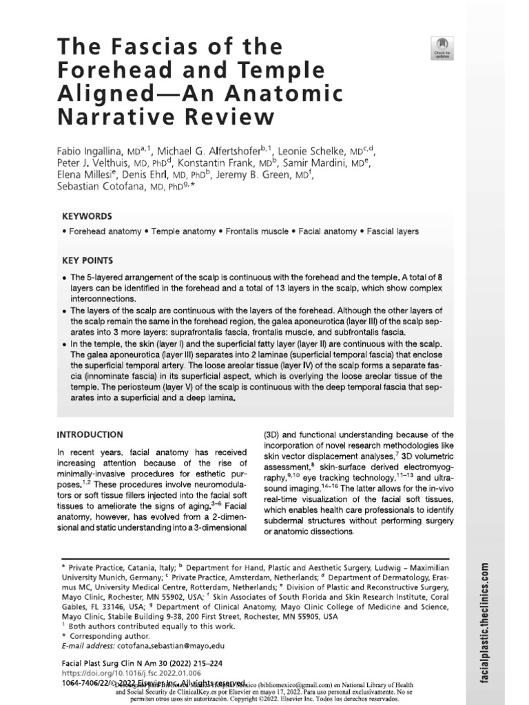 Fascies Forehead | PDF