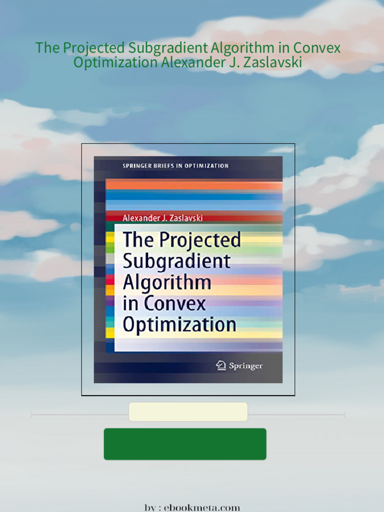 The Projected Subgradient Algorithm In Convex Optimization Alexander J