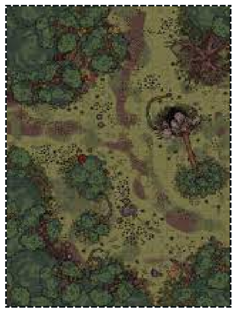 DNDN Battle Map 4 | PDF