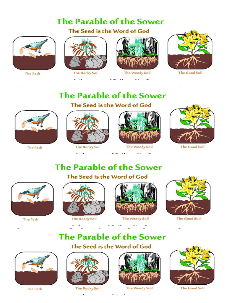 Values Education 7 TheParable of the Sower | PDF