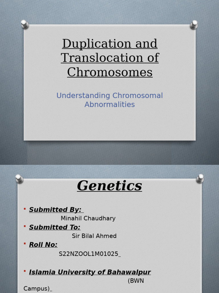 Duplication and Translocation of Chromosomes | PDF | Chromosome ...