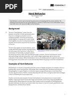 CommonLit - Herd Behavior | PDF | Herd | Behavior