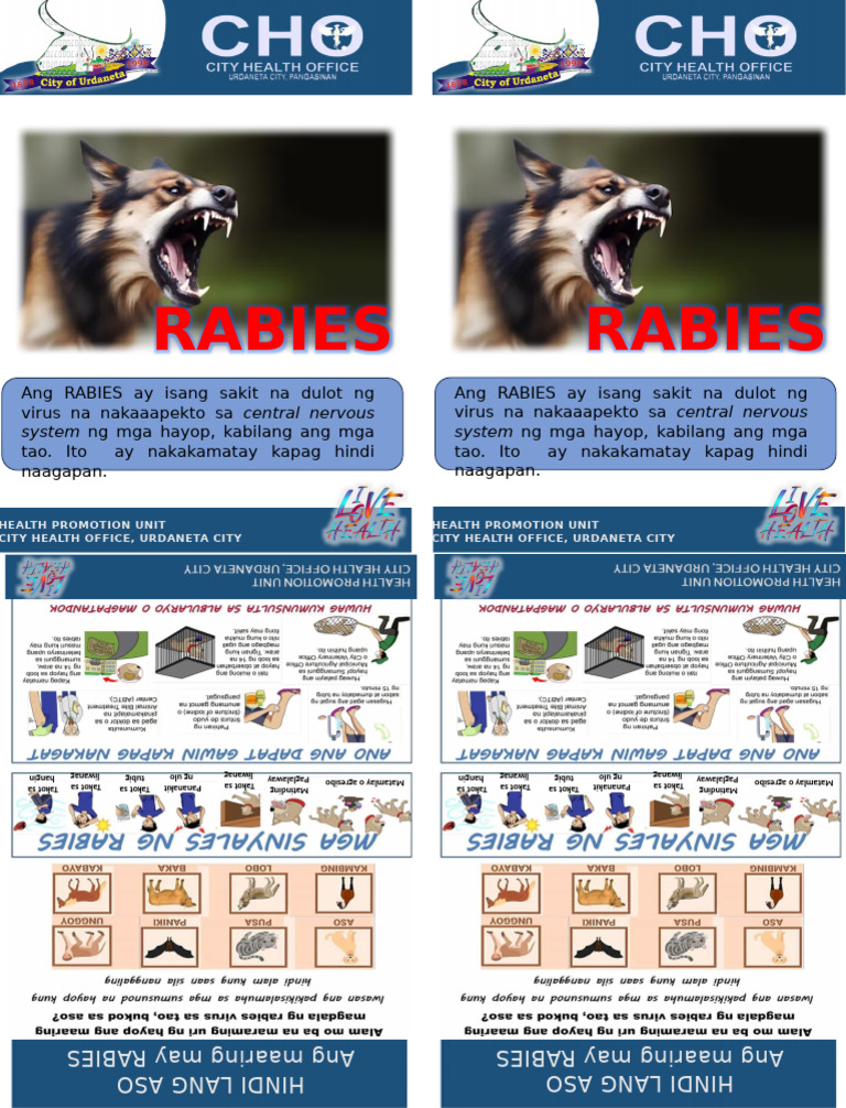 Rabies Pamphlet | PDF