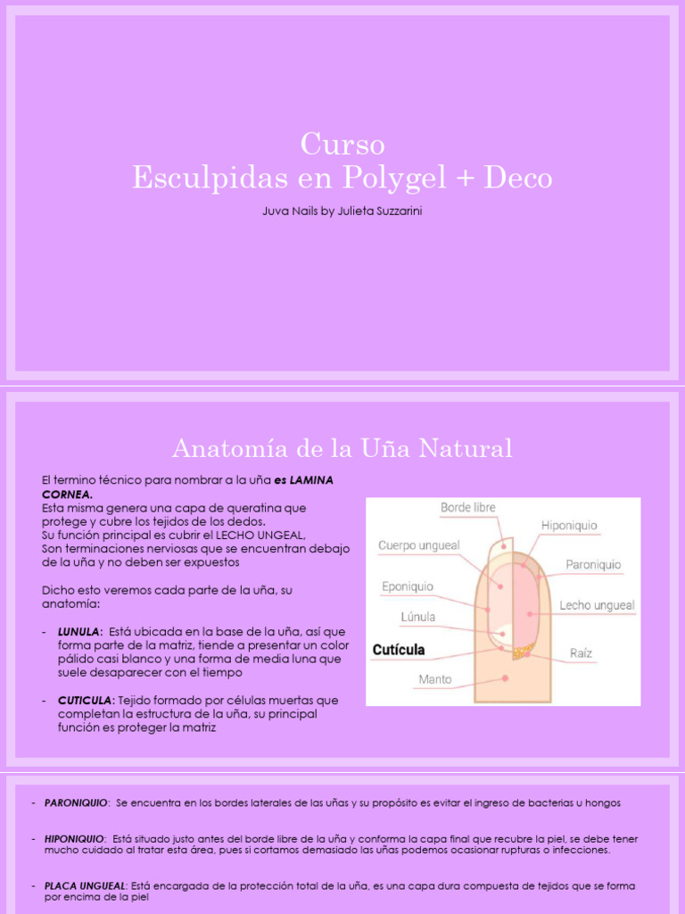 Curso Esculpidas en Polygel | PDF | Clavo (anatomía) | Piel