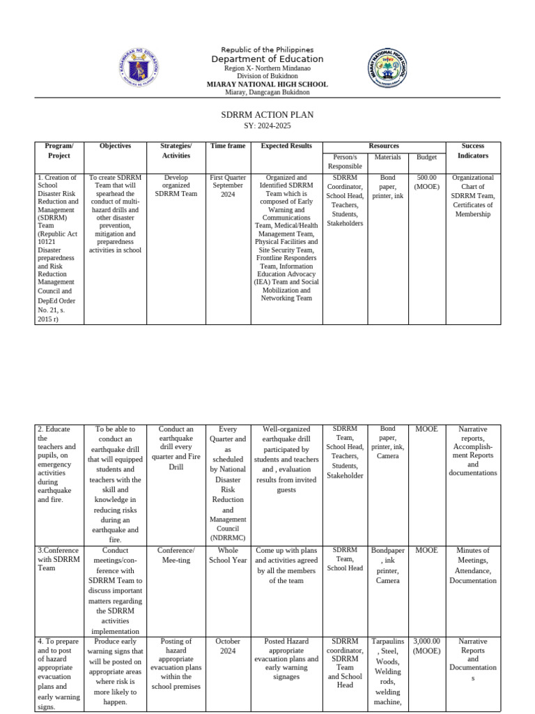 SDRRM Action plan final | PDF | Emergency Management | Risk Management