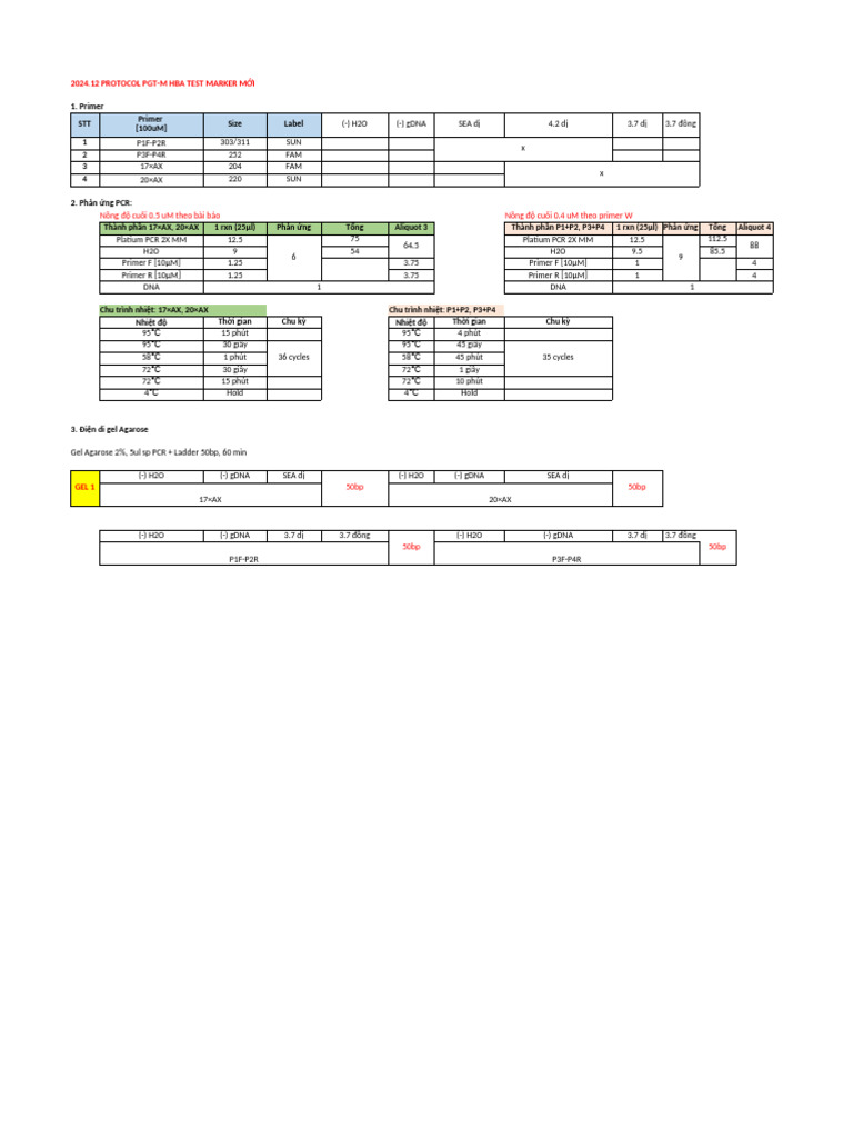 2024.12 Protocol PGT-M Hba Test Marker M I Quy Trình Single PCR | PDF
