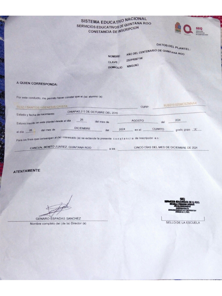 PDFReader 20241209 1725 | PDF