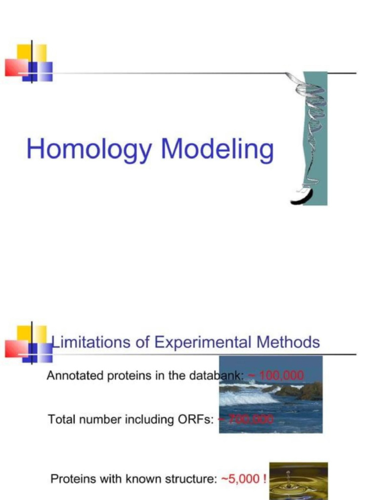 Homology Modelling 1 | PDF