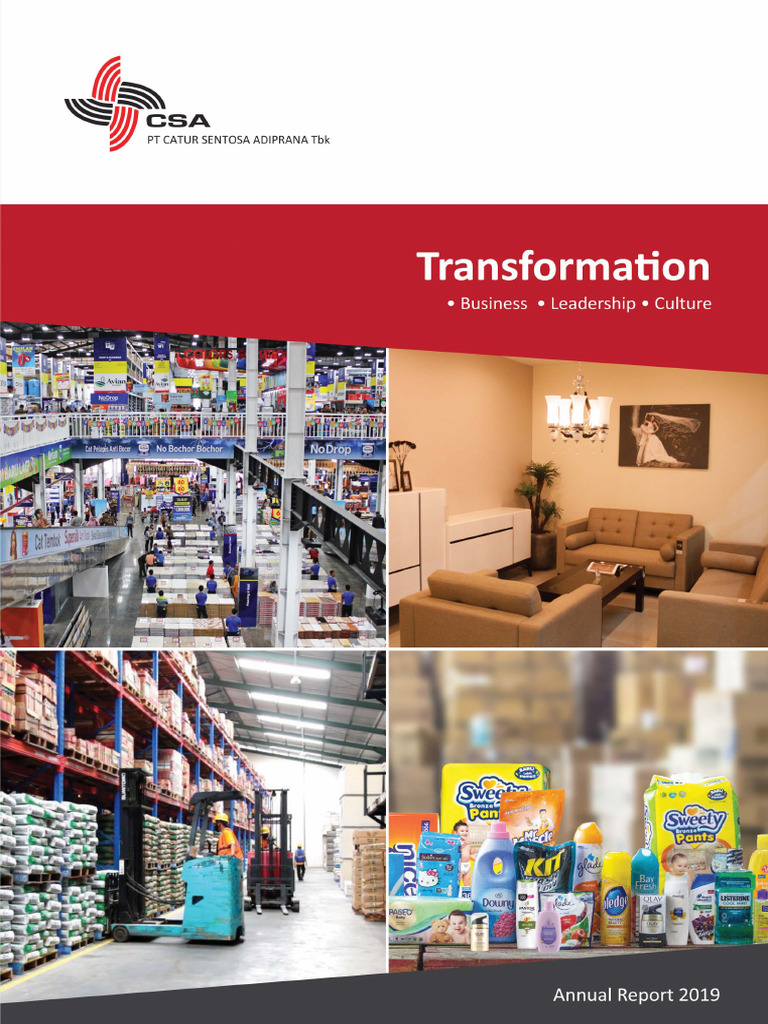 CSA Annual Report 2019 | PDF | Equity (Finance) | Balance Sheet