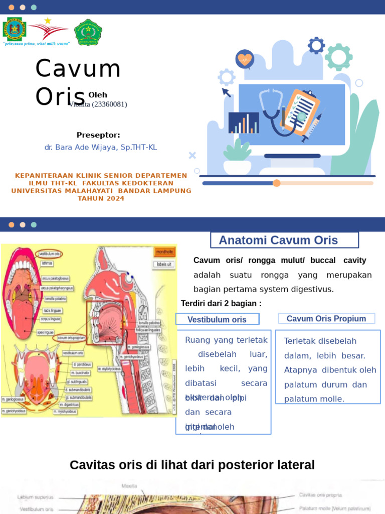 Anatomi dan Fisiologi Cavum Oris | PDF