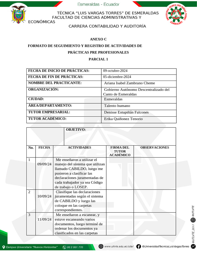 formatos_practicas_preprofesionales Actividdes | PDF