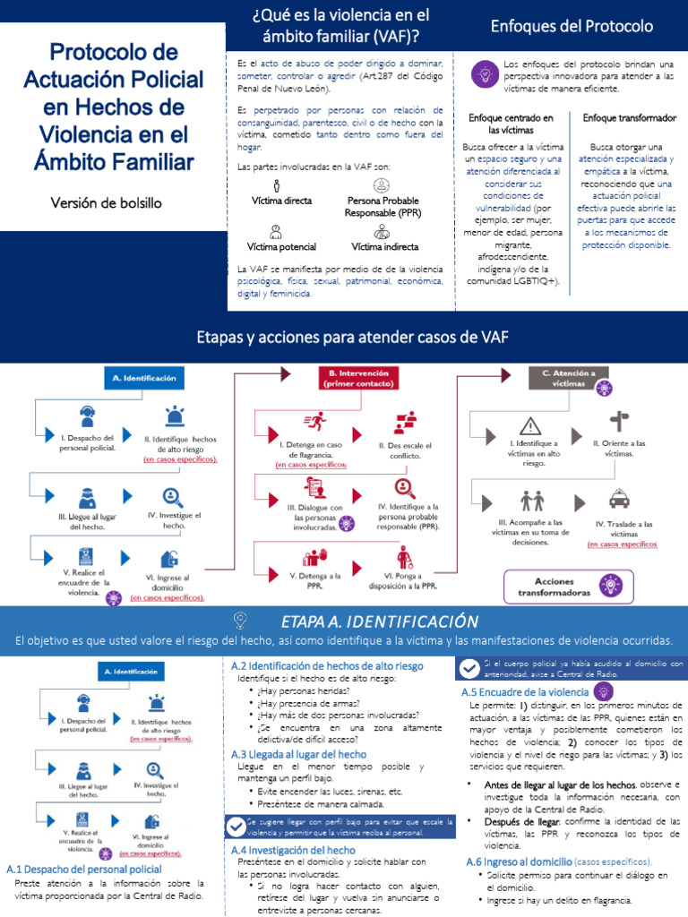 Protocolo Policial en Violencia Familiar | PDF | Policía | Violencia