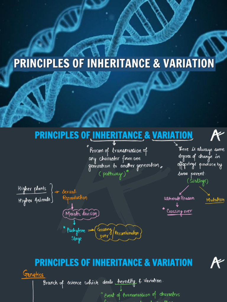 Principle of Inheritance & Variation (Part-1) | PDF