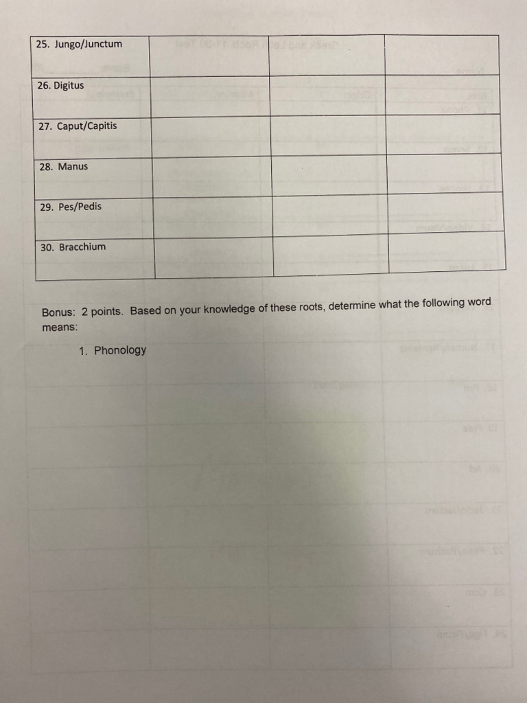 Greek and Latin Roots Test Page 2 | PDF