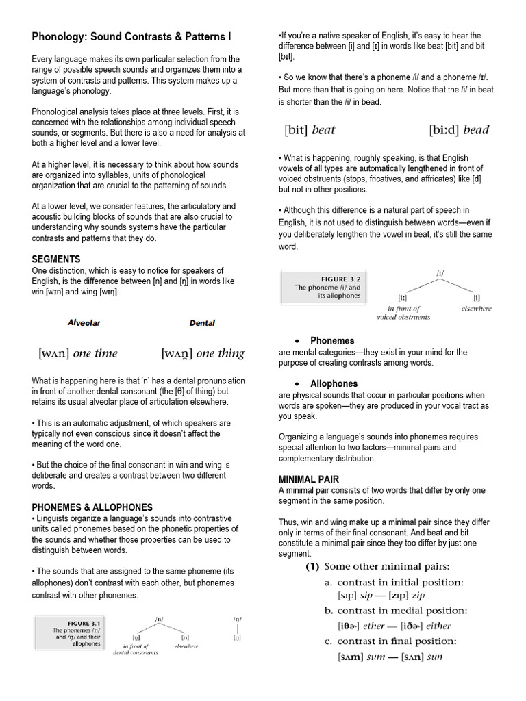 Introduction On Linguistics | PDF | Syllable | Phoneme