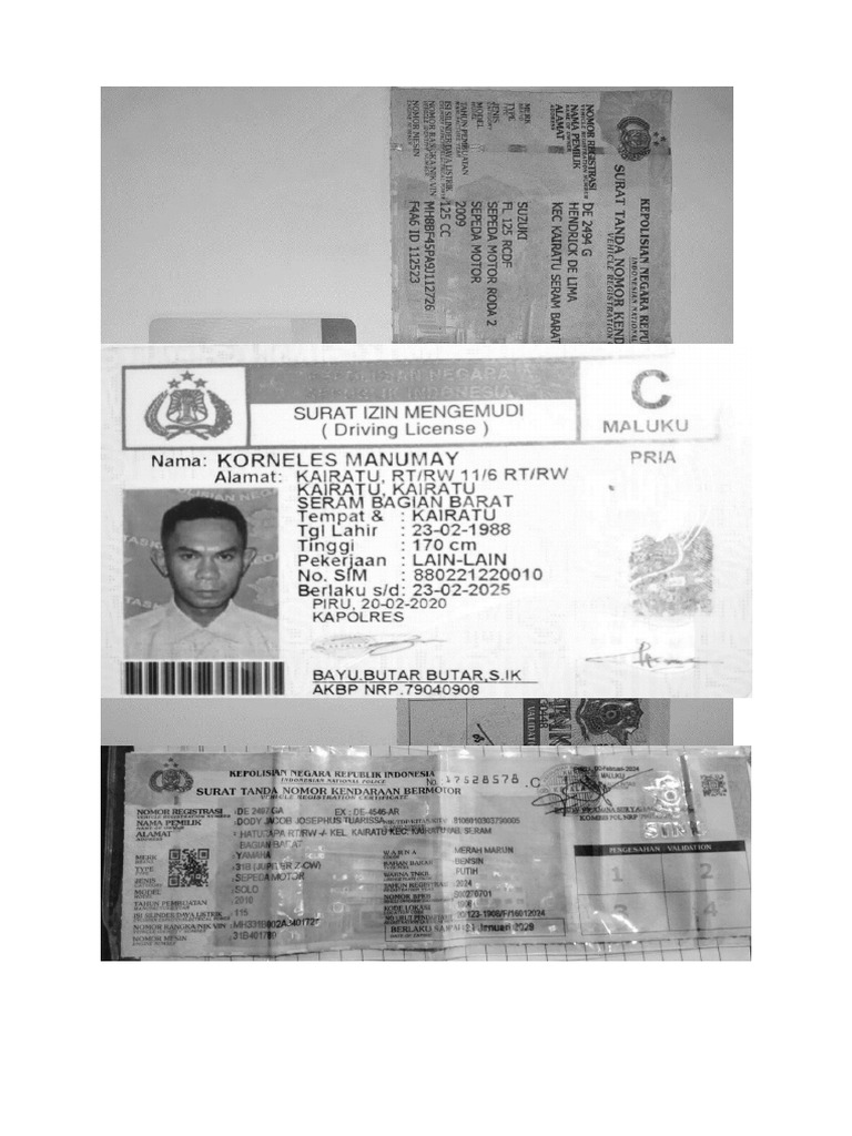 Sim STNK Manusia Rempong | PDF