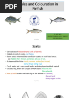 Scribd Test Text | PDF